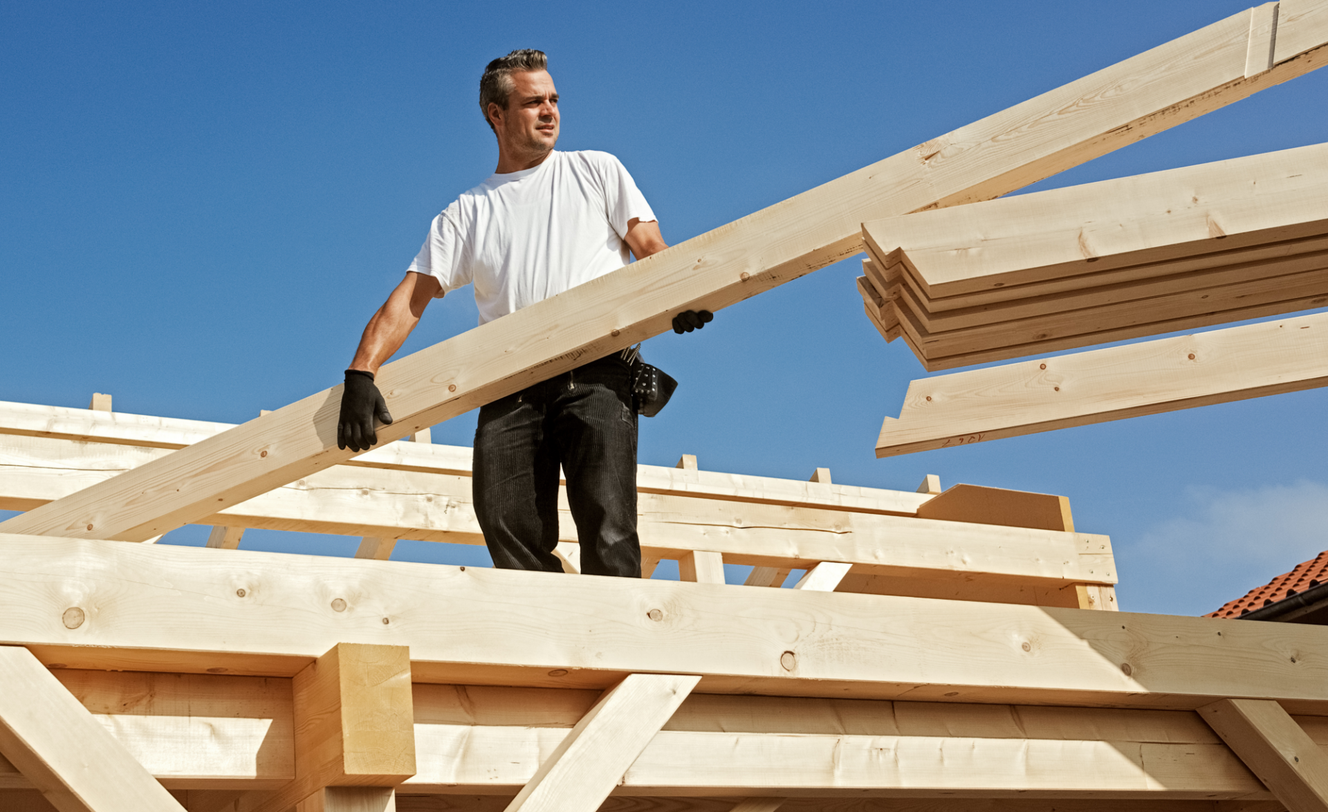 Software de diseño para carpinteros y mueblistas| CAD/CAM 2D/3D